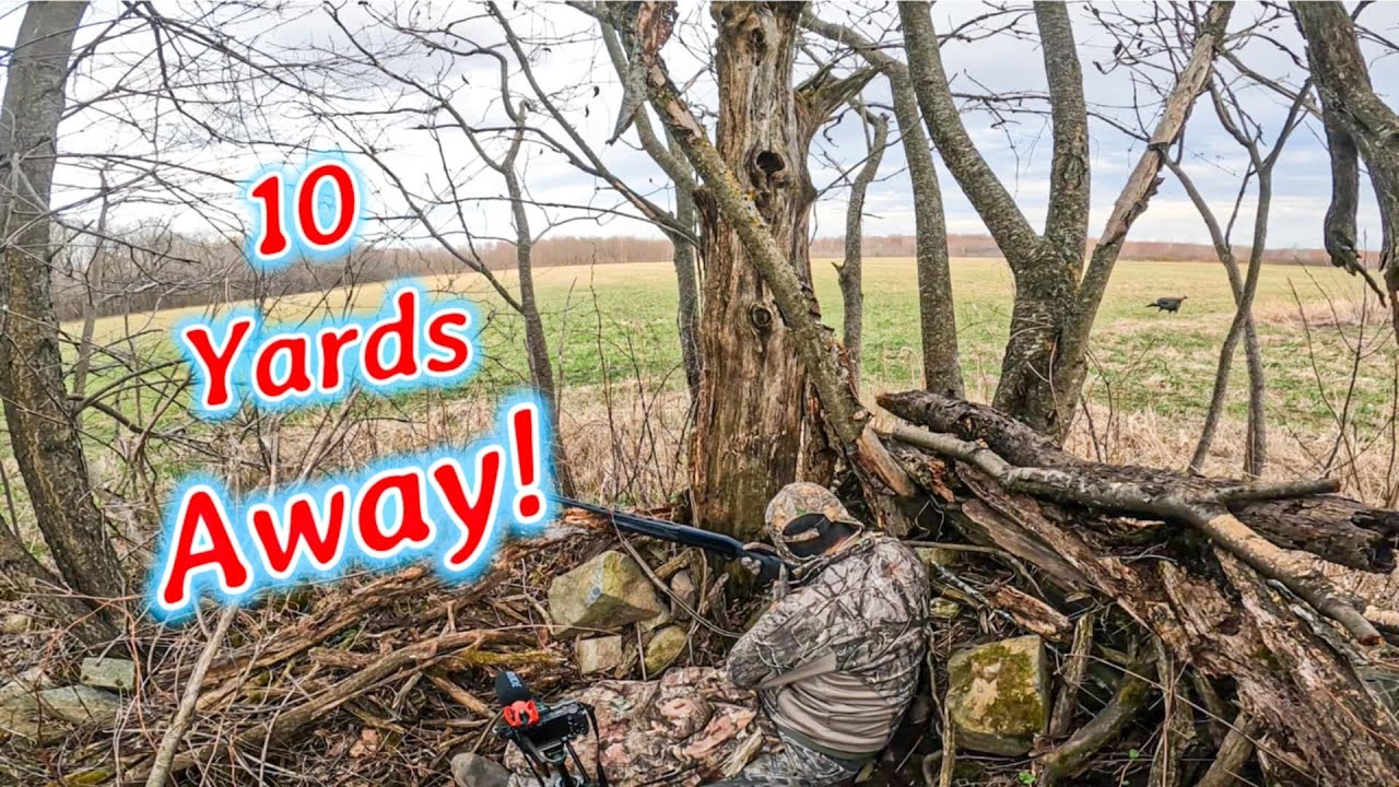 What would you have done? Spring Turkey Season 2025! | Wisconsin ...