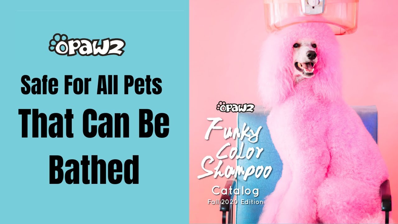 OPAWZ Funky Color Shampoo - Safe For All Pets That Can Be Bathed - YouTube