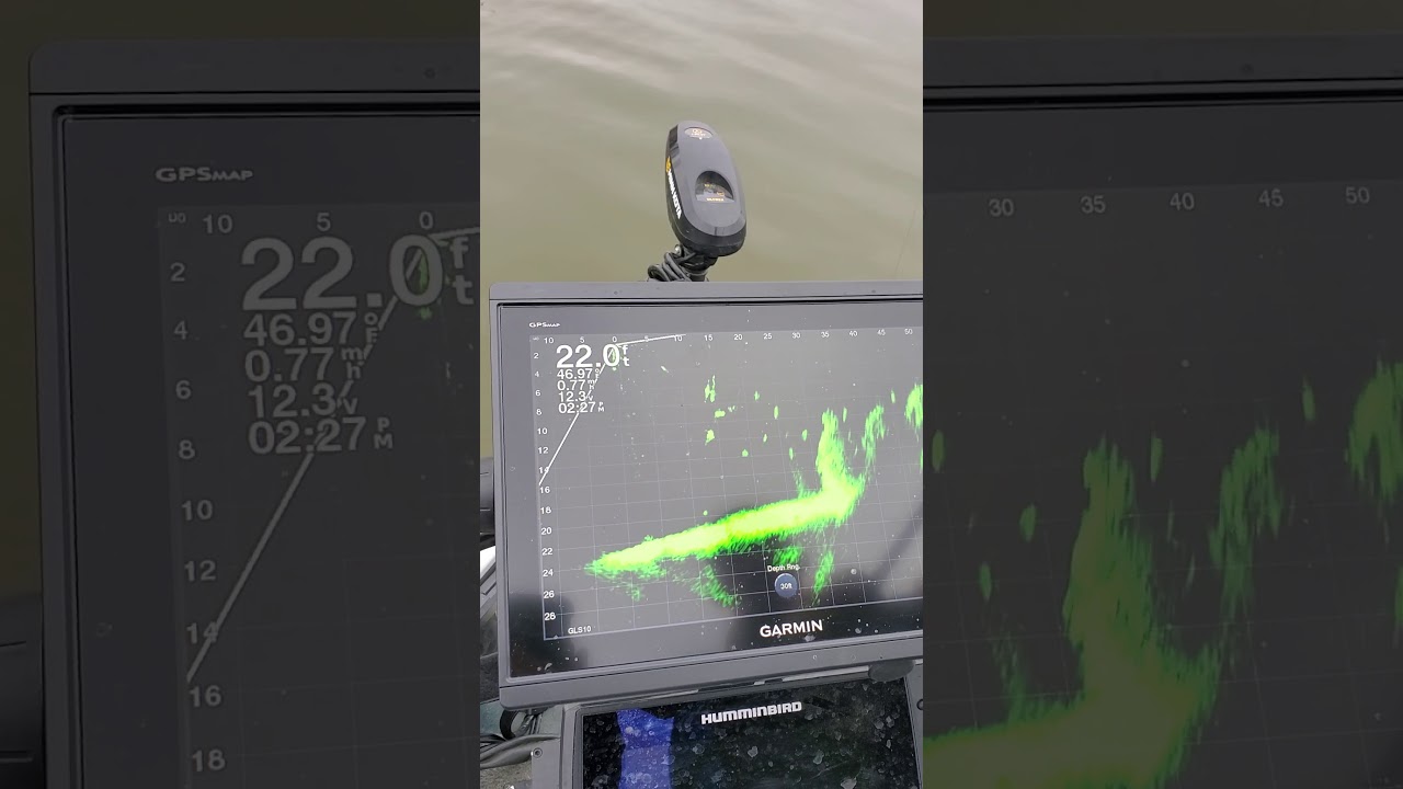 Garmin Panoptics Livescope! - YouTube
