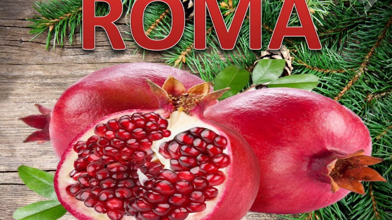 LINHA DO ROMÃ - SIGNIFICADO DO ROMÃ VERSOS RIMADOS #6 - YouTube