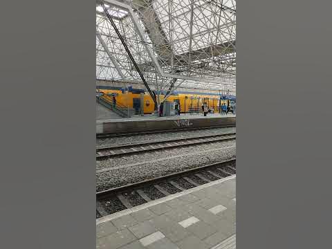 Zaandam 🇳🇱 Trein Sprinter Nederland #travel #train #trains #subscribe # ...