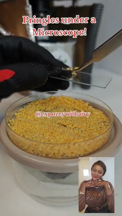 PRINGLES UNDER A MICROSCOPE! #bacteria #microscope - YouTube