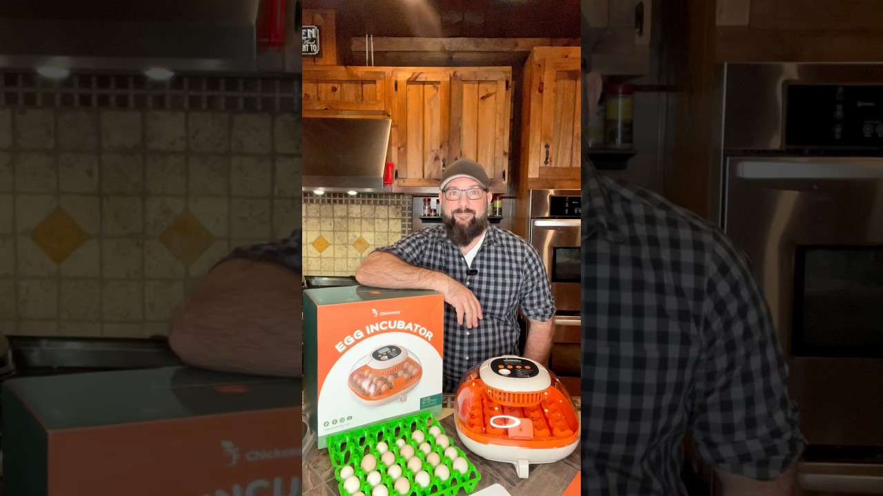 Chicken Math - YouTube