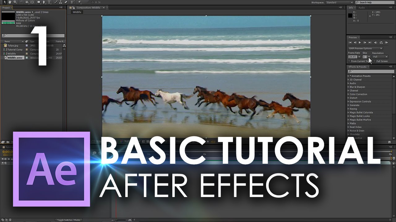 สอน After Effects Basic : ปูพื้นฐาน สำหรับมือใหม่ [ part 1 ] - YouTube