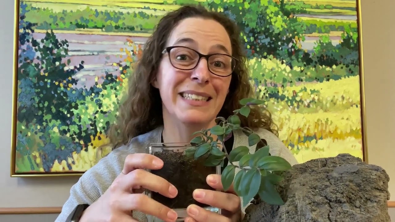 USask Research Minute: Dr. Angela Bedard-Haughn - YouTube
