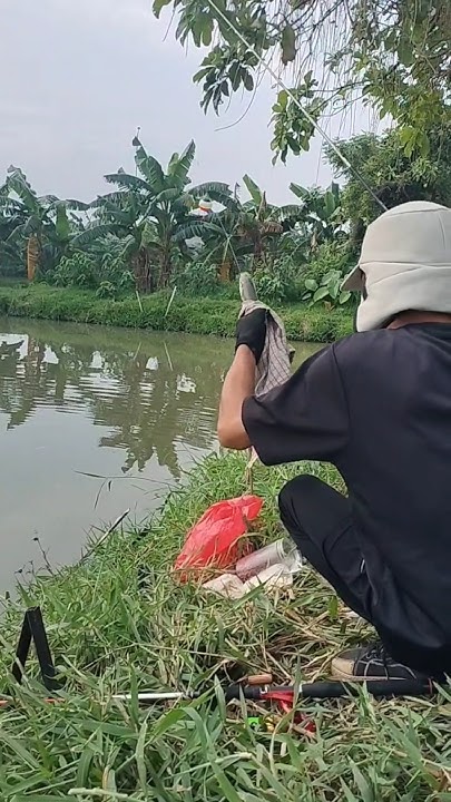 bandeng mulus! gurih buat di makan nih! psb jbfc - YouTube