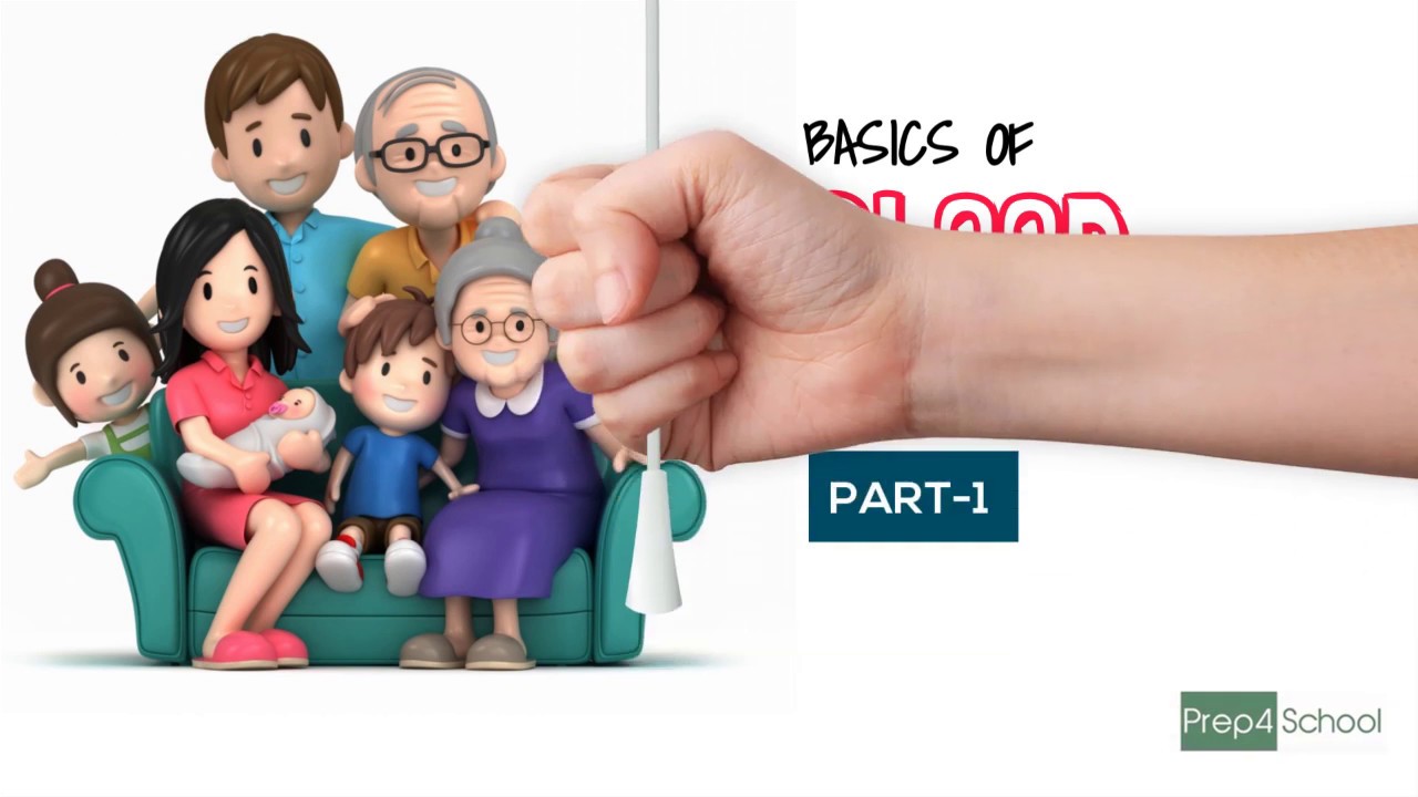 Blood Relation Problems - NMMS & NTSE MAT Special - Prep4School - YouTube
