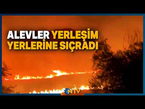 Diyarbakır'da Korkutan Yangın! Rüzgar Müdahaleyi Zorlaştırıyor | NTV