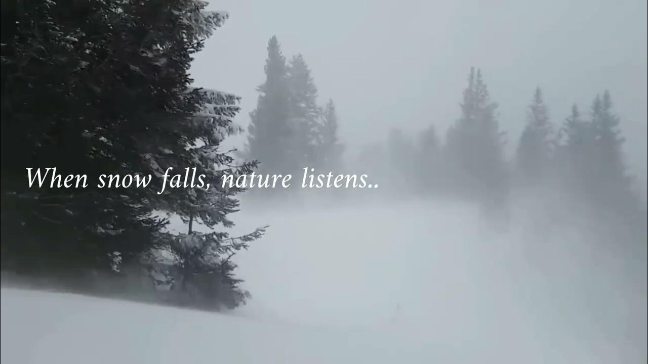 When snow falls, nature listens. - YouTube