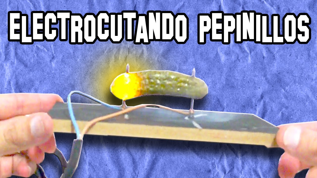 🔴 Como Electrocutar Pepinillos con 220 Voltios - Experimentos Caseros ...