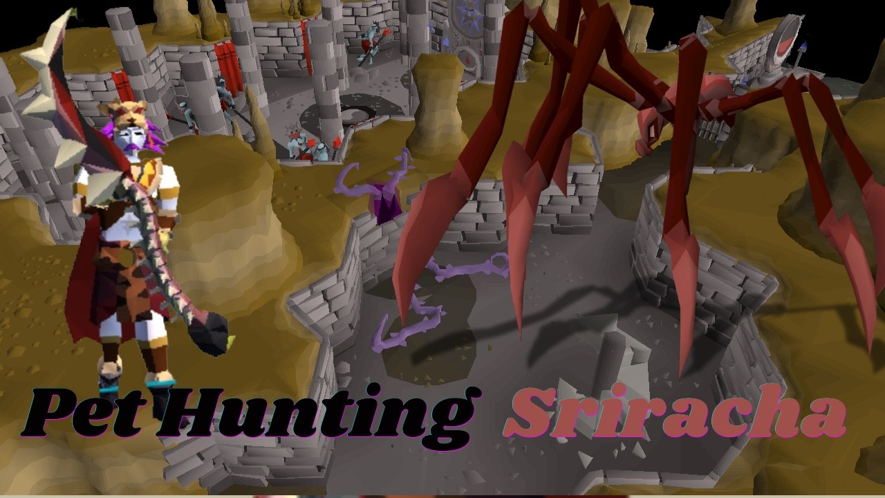 The Grind Continues Pet Hunting / PvM OSRS - YouTube