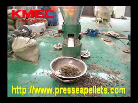 Machine à granulé /Presse à granuler du type ZLSP260 D - YouTube