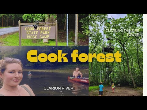 Camping in Cook Forest state park - YouTube