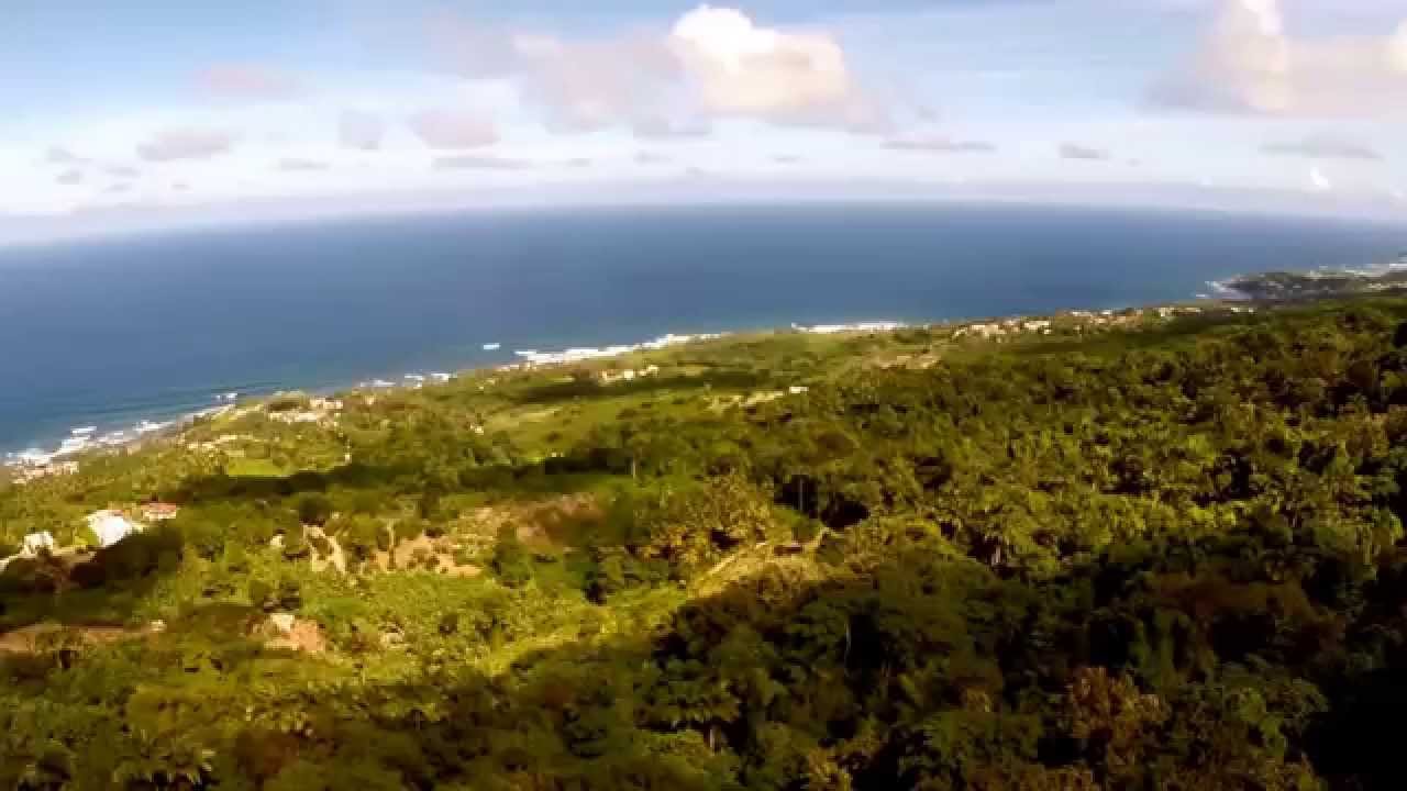 Hackleton's Cliff Barbados east coast - YouTube