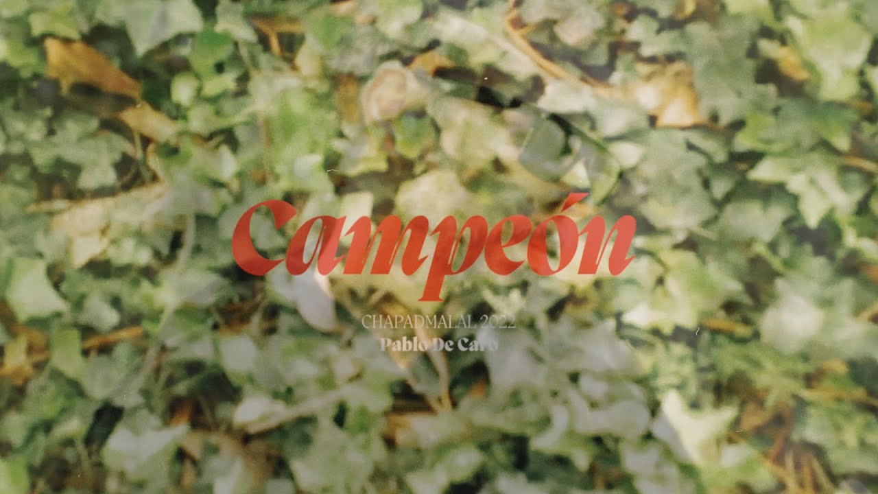 Pablo De Caro - Campeón (bosque de hojas) - YouTube