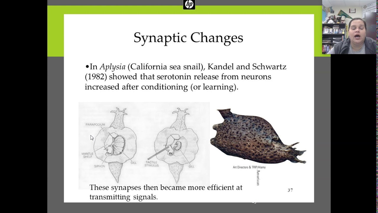 5-2 Flipped Notes: Memory Storage - YouTube
