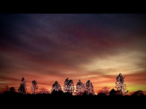 Gentle Soft Refreshing Evening Rain in the country 10 HOURS, Sleep ...