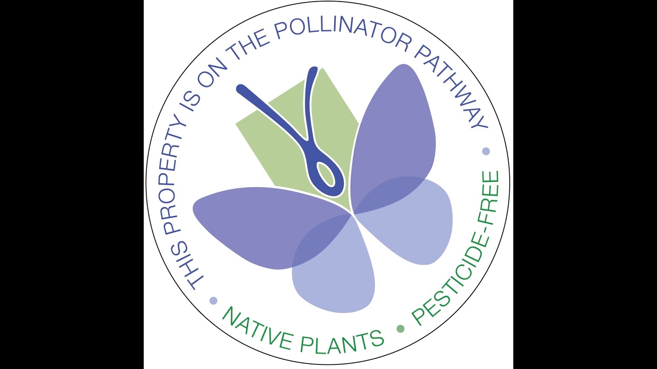 Pollinator Pathway Live Stream - YouTube