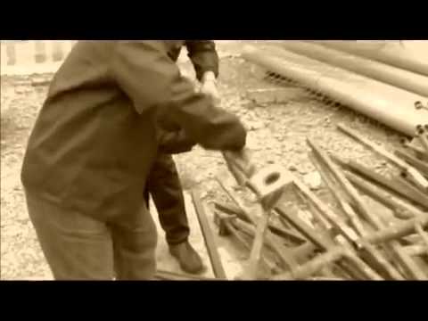 Nicolae Guta - Strainatatea