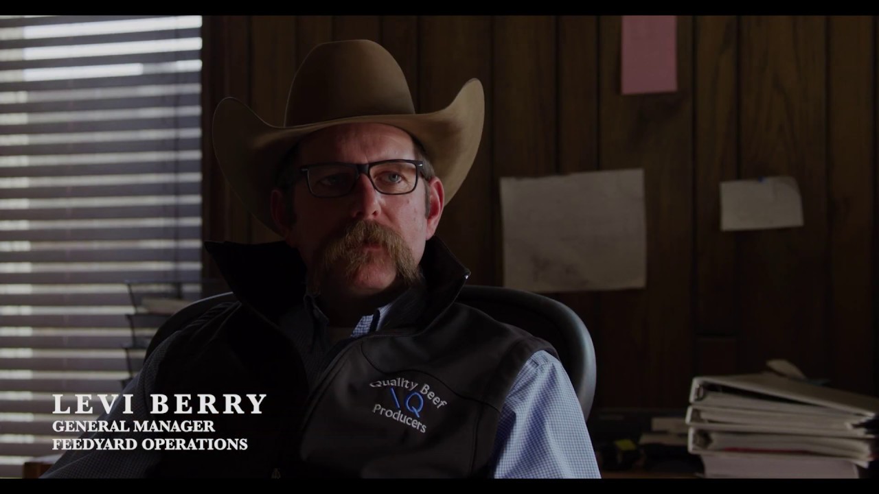 Meet a Cattle Feeder: Levi Berry - YouTube