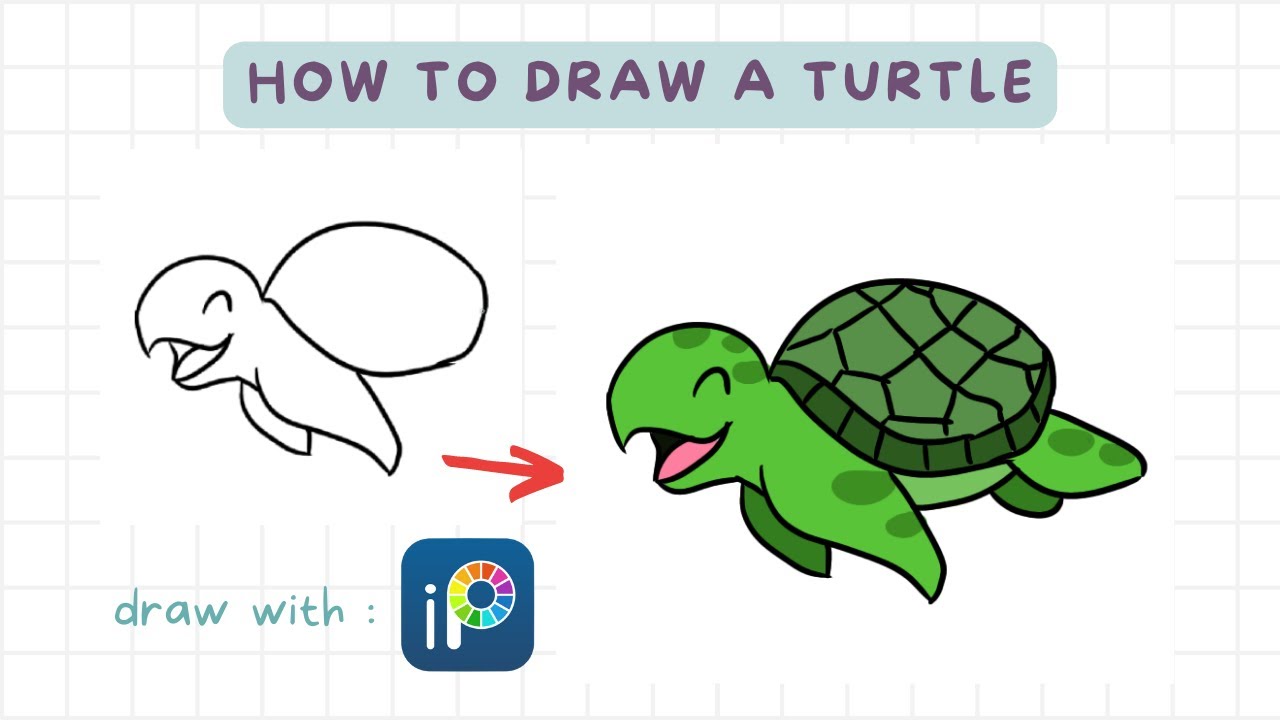 How to draw a Turtle using app on a tablet / phone. - YouTube