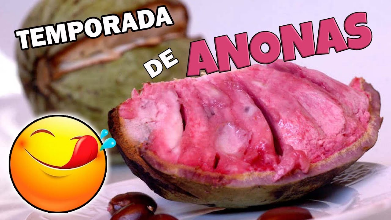 Anonas La fruta más esperada por los #salvadoreños #ilama #Saramuyo # ...