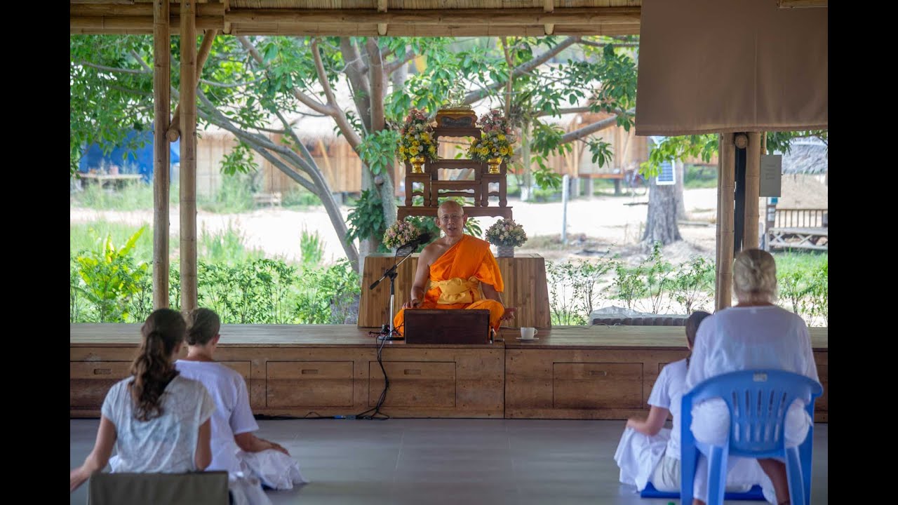 Guided Meditation and Wisdom Talk - YouTube