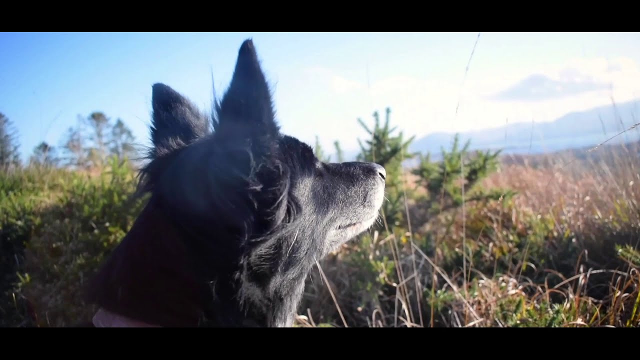 Ger Wolfe -'Hello Gorgeous' (official video) - YouTube