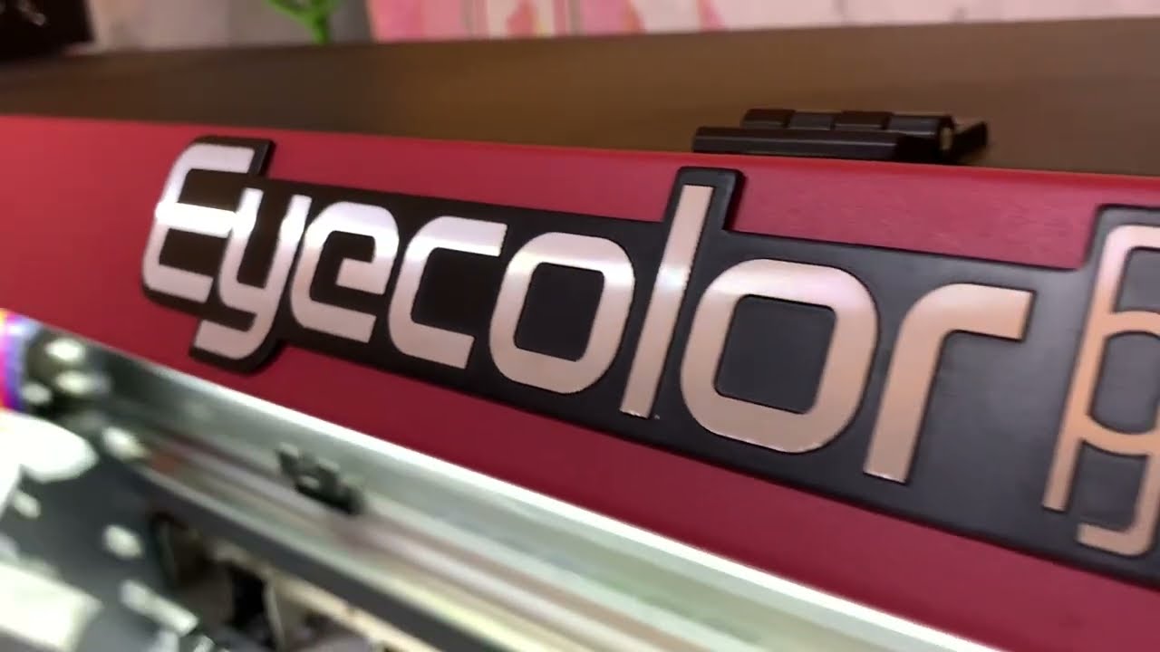 EYECOLOR XP600 || ECOSOLVENT PRINTER XP600 - YouTube