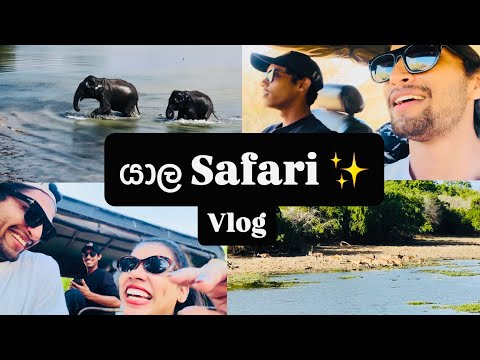 Yala ( යාල )National Park ✨ | Vlog | Induwara Sayagi 