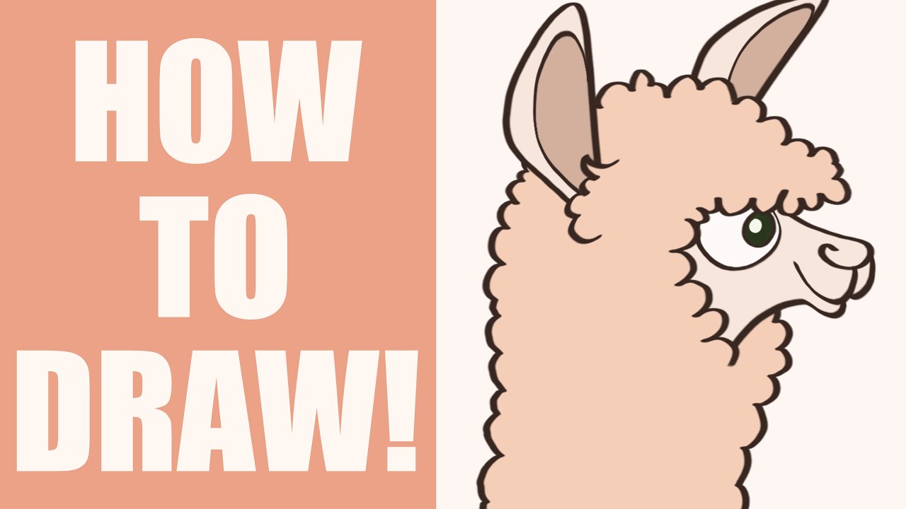 Adventures In Art: HOW TO DRAW AN ALPACA Tutorial For Beginners! - YouTube