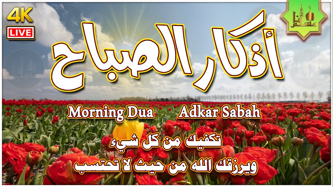 اذكار الصباح بصوت جميل 💛 مناظر طبيعية رائعة 🌼 Adkar Sabah, a beautiful ...