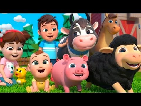 This Is The Way Animals Go To Slee.. - YouTube