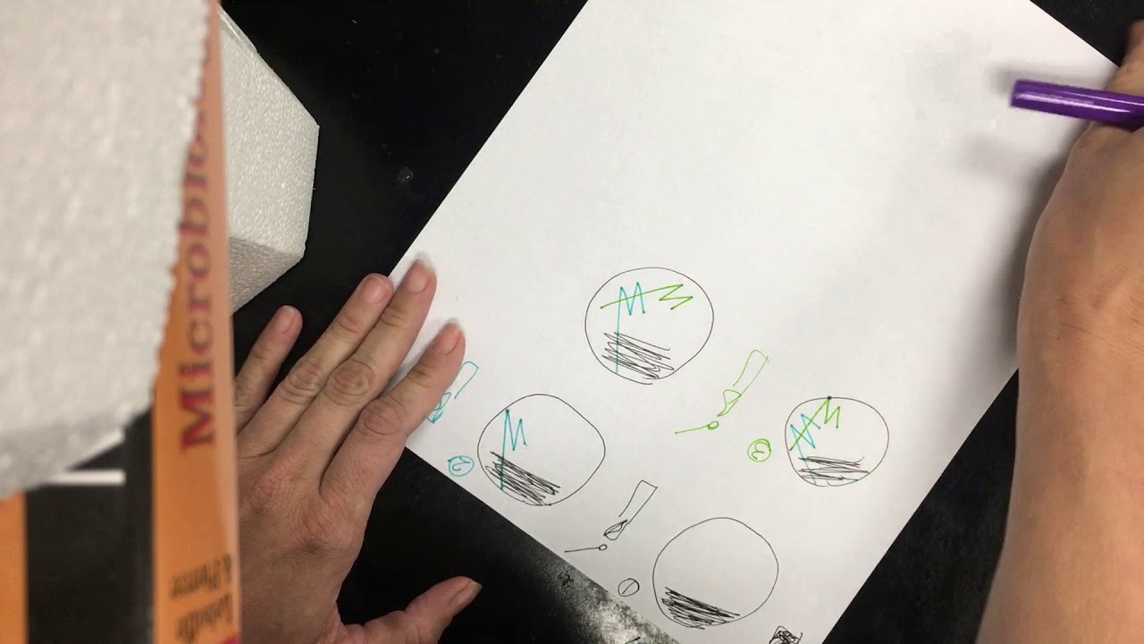How to Make a Streak Plate - YouTube