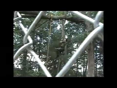 NEMLEC SWAT 2008 Training Highlights - YouTube