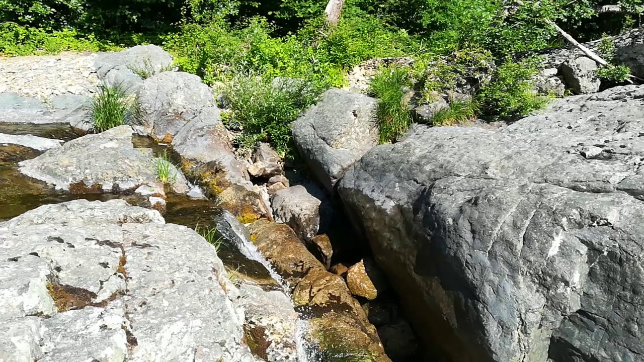 Bulgaria, Strandja Mountain - 07 June 2019 - YouTube