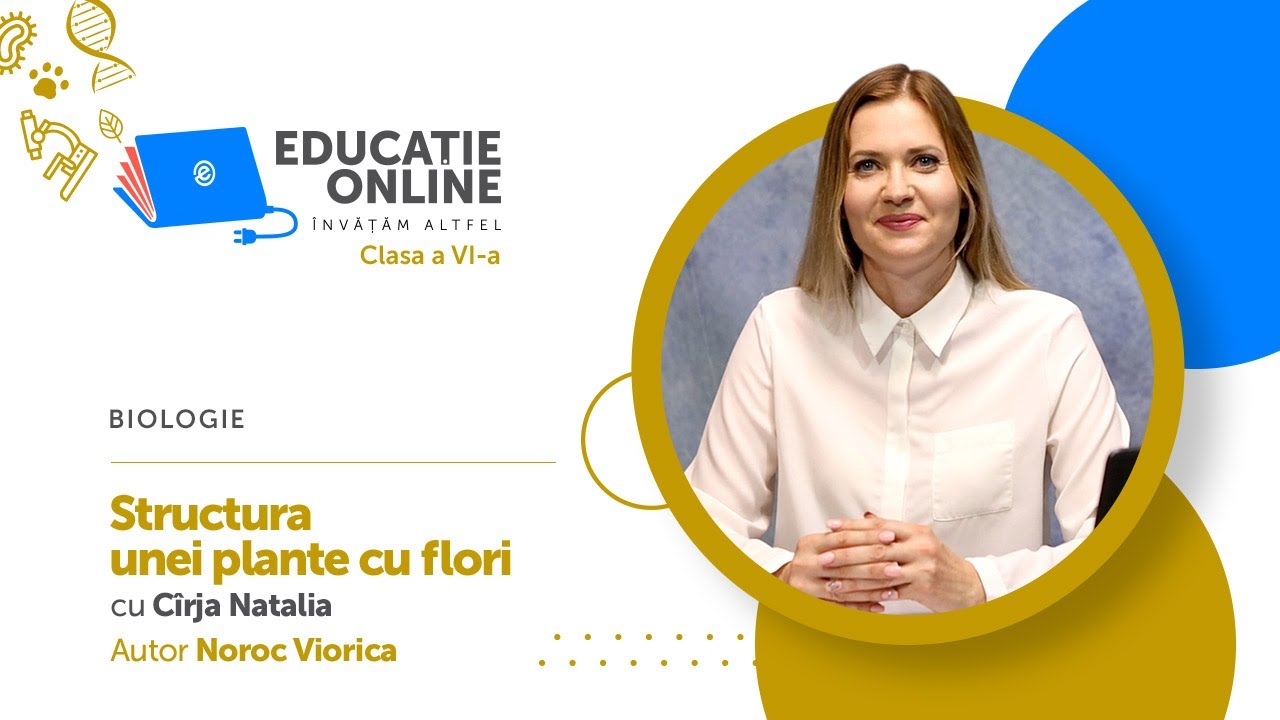 Biologie, Clasa a VI-a, Structura unei plante cu flori - YouTube