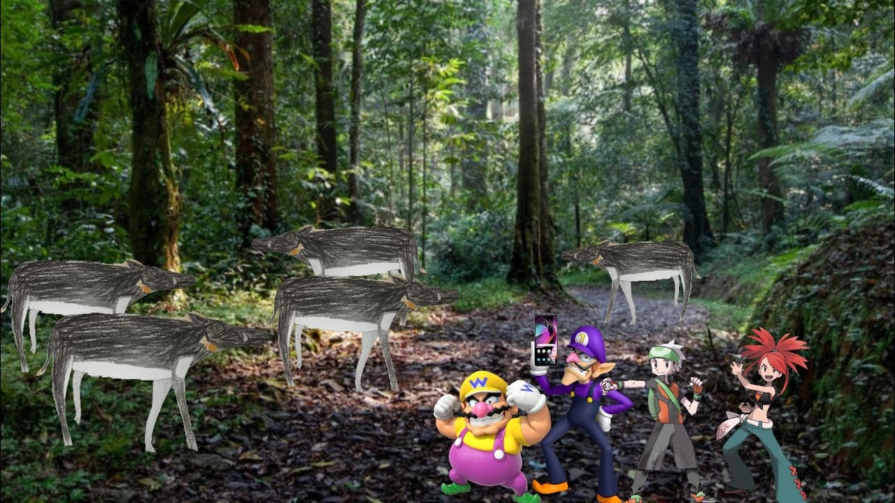 Wario, Waluigi, Brendan & Flannery Takes A Selfie With A Herd Of Javan ...