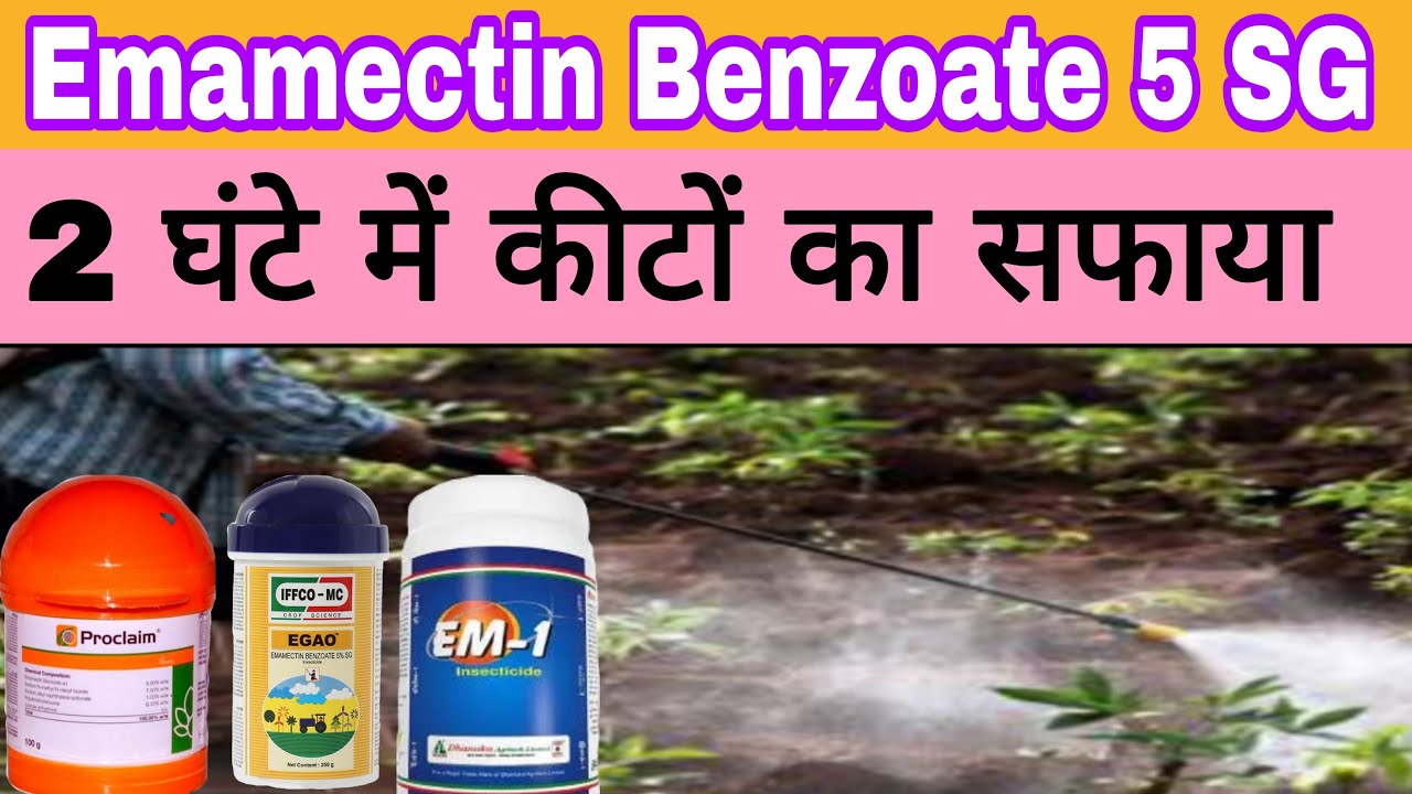 emamectin benzoate 5 sg | emamectin benzoate insecticide | egao iffco ...