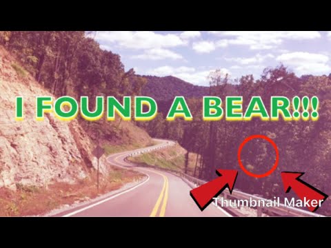 The JoelTV Goes In The Wilderness!!!