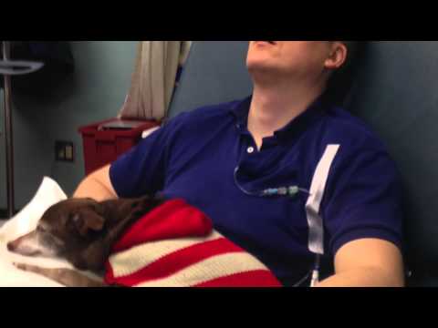 GoFundMe video V2 - FIRST HALF DRAFT