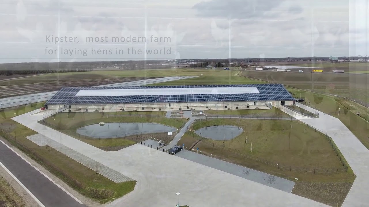 Kipster, most modern farm for laying hens in the world, built by ...