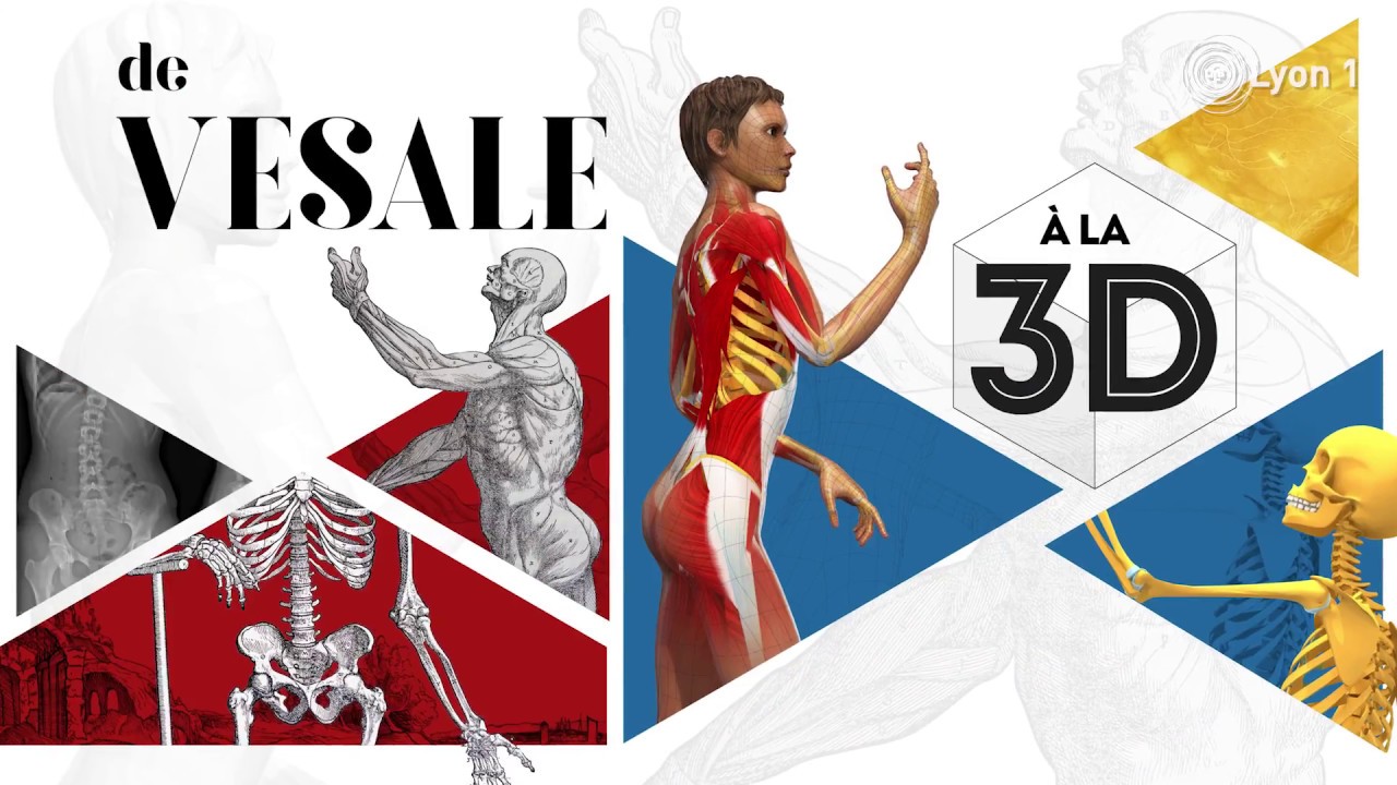 Exposition "L'anatomie, de Vésale à la 3d" - YouTube