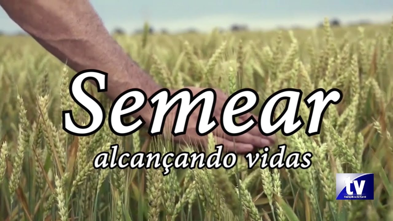 Programa Semear dia 14 de novembro de 2023 - YouTube