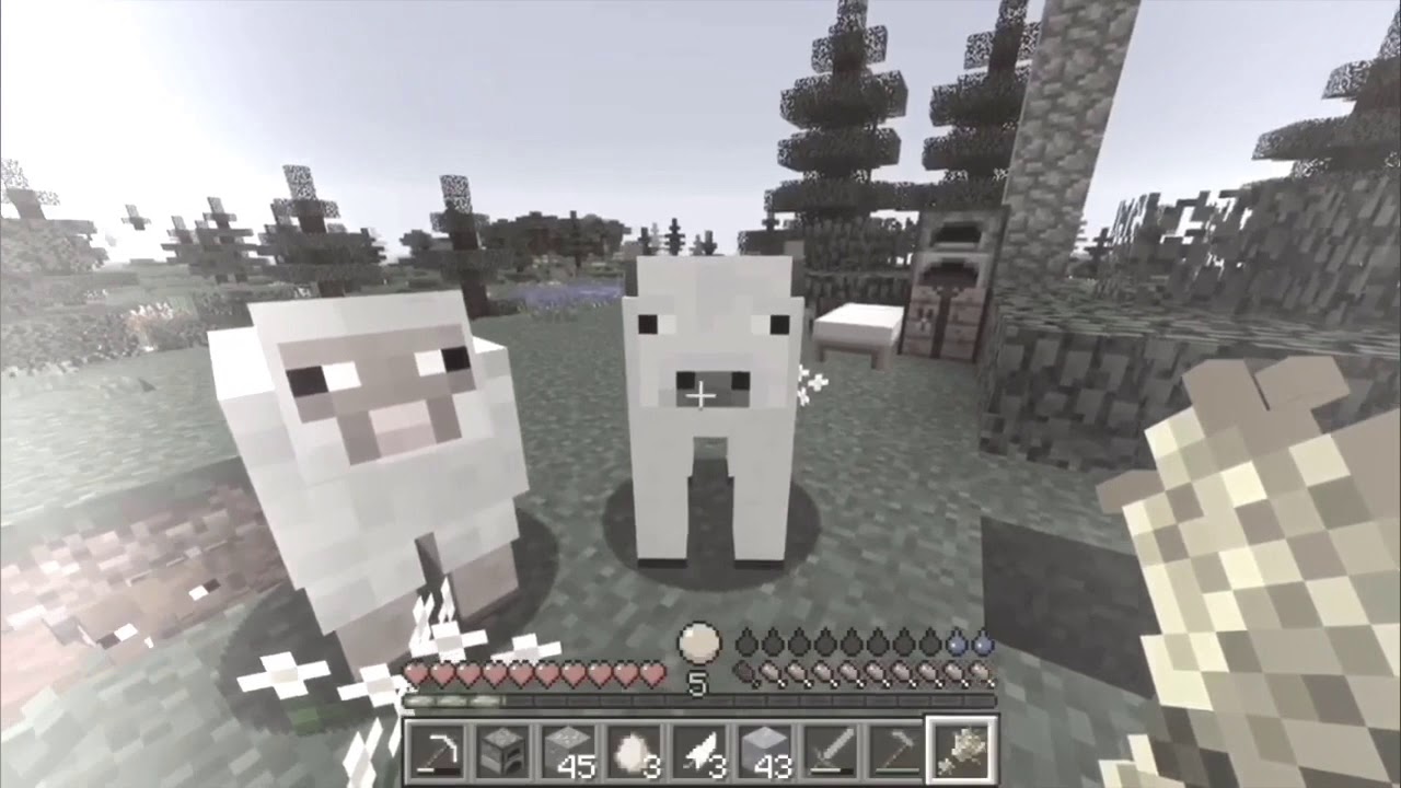 Boffy cow abuse - YouTube