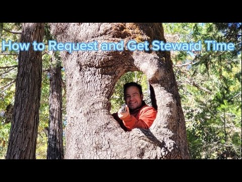 How to Request and Get Steward Time - YouTube