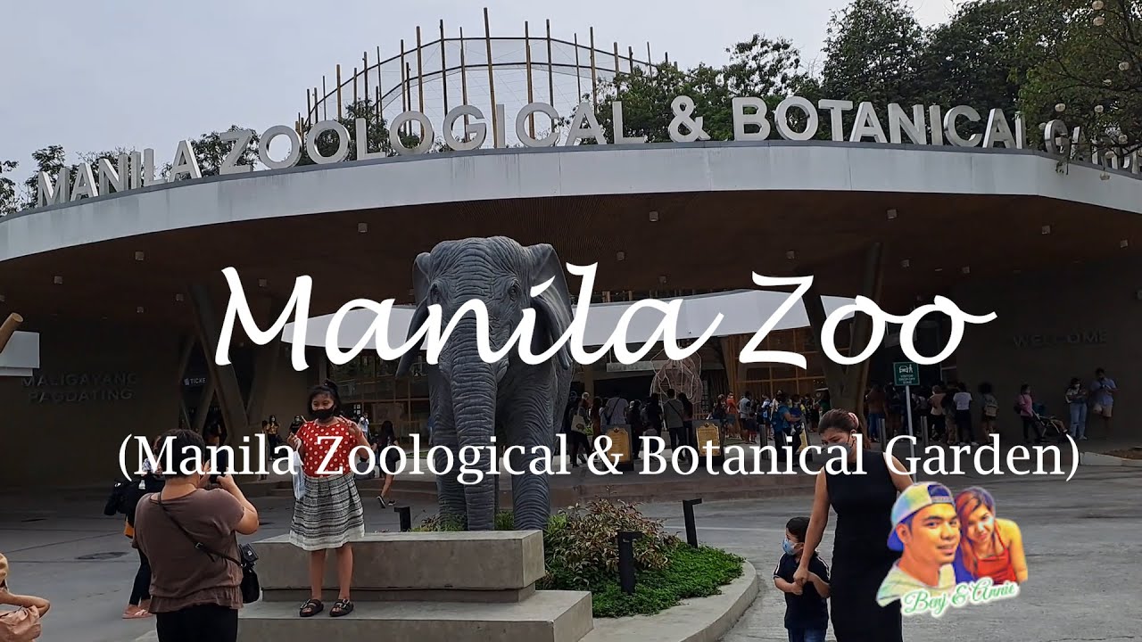 Manila Zoo ONLINE TOUR | ZOO | Amusement Park - YouTube