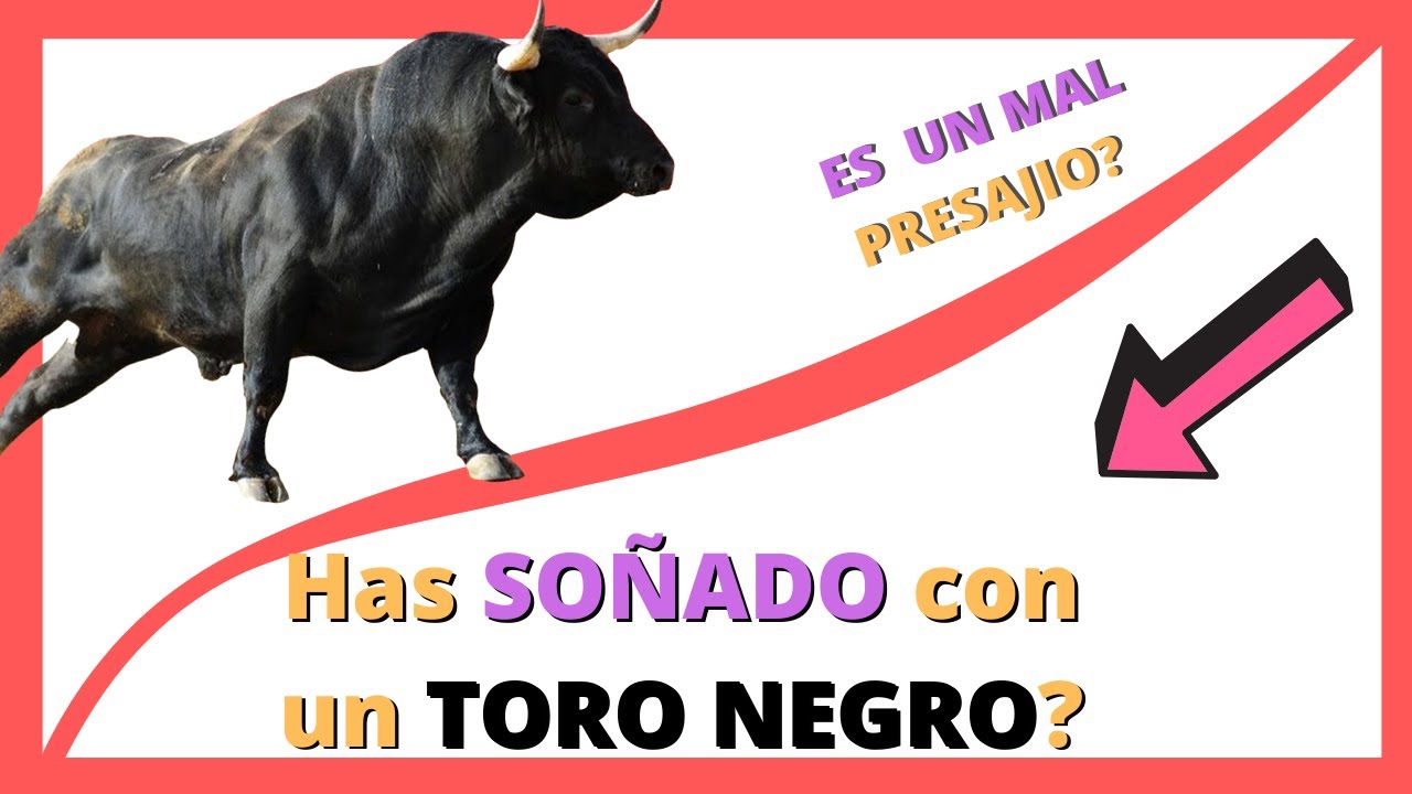 🐮🐮 Que Significa SoÑar Con Un Toro Negro 😱🐃 Youtube