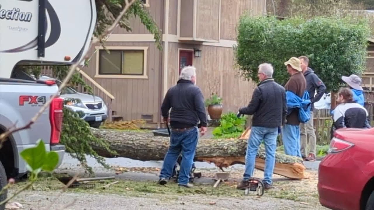 Neighbors jump in to help Bay Area man trapped by large fallen tree ...