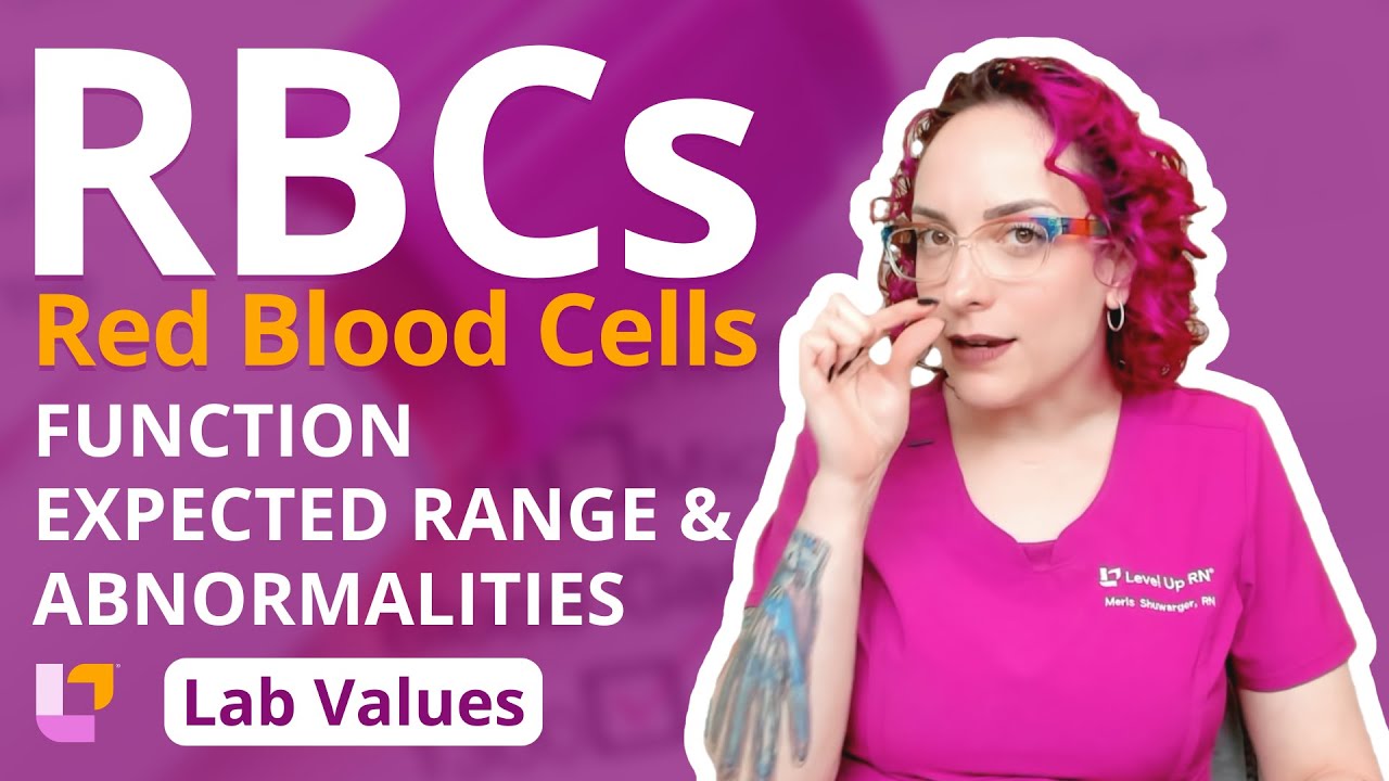 Red Blood Cells (RBCs): Adult Lab Values, Nursing students | @LevelUpRN ...